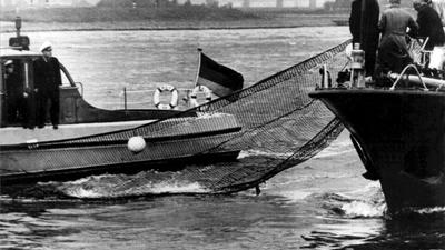 Sensation vor 50 Jahren: „Moby Dick“ im Rhein - GrenzEcho